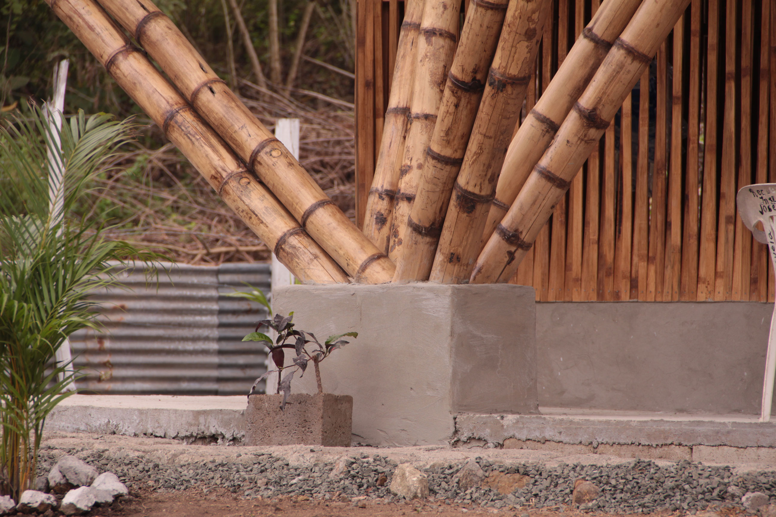 Bamboo chapels- final project